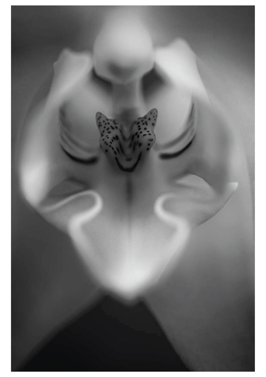 Untitled 2 - Framed – Baro Art