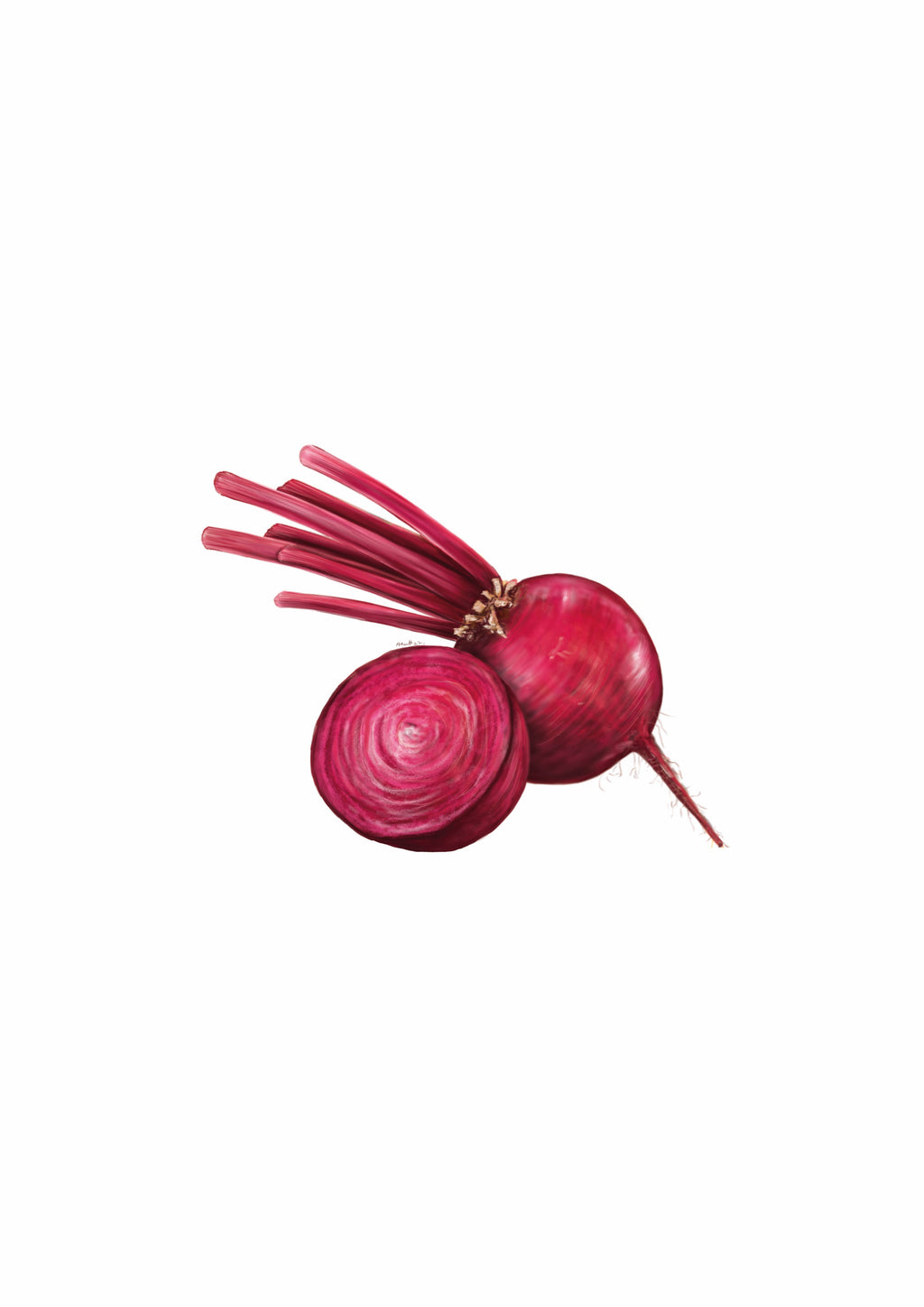 Small Beetroot – Baro Art